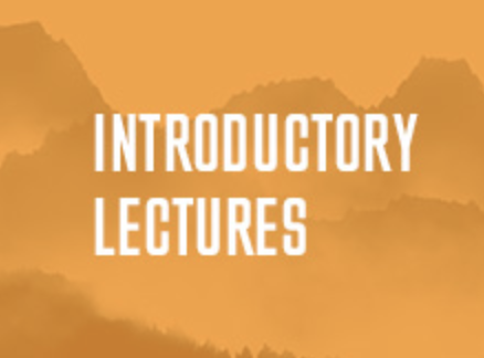 Introductory Lectures in Psychoanalysis: Spring and summer 2025 (Online ...